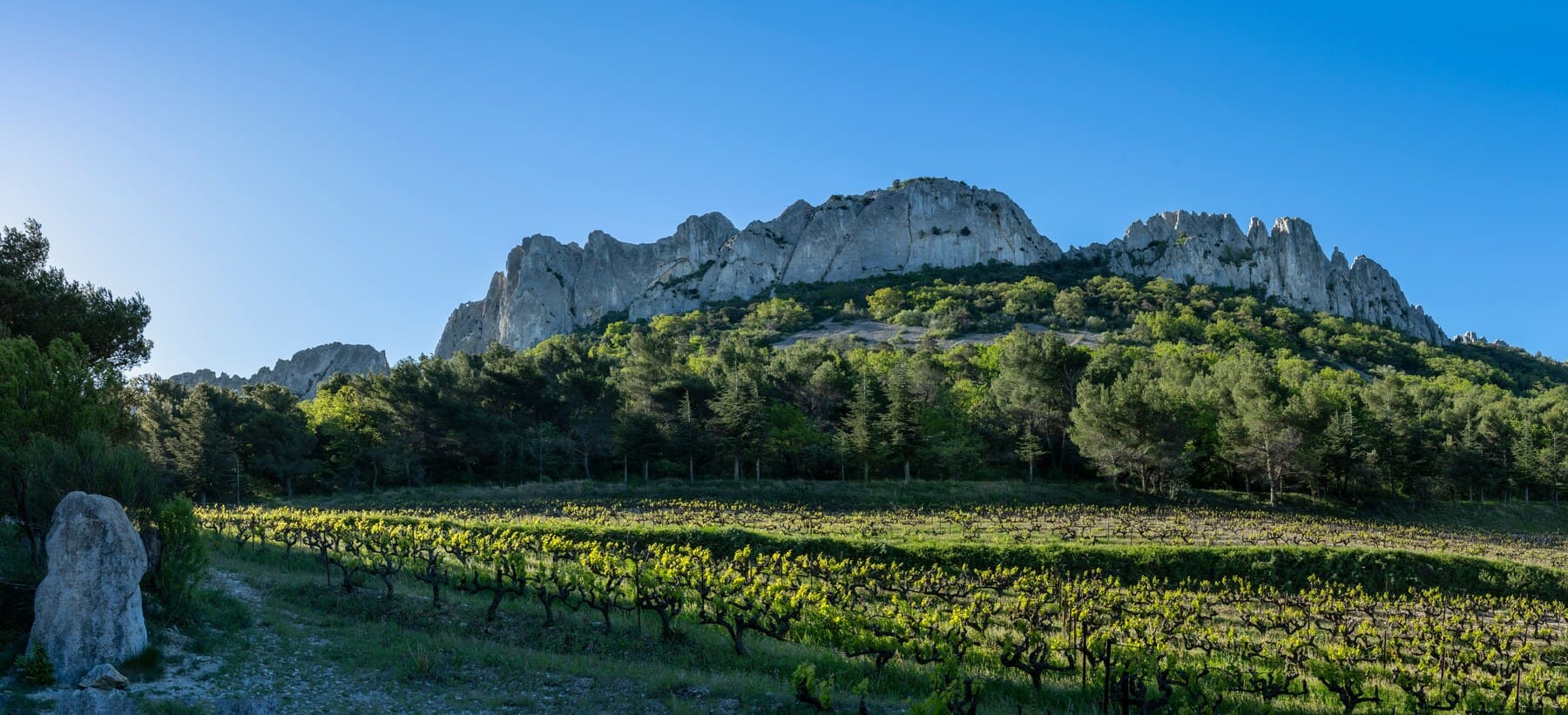 Côte du Rhône Wine Tour - Xplore France