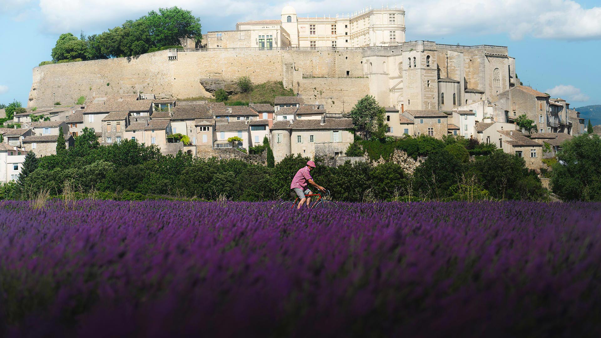 Biking Day in Luberon - Xplore France